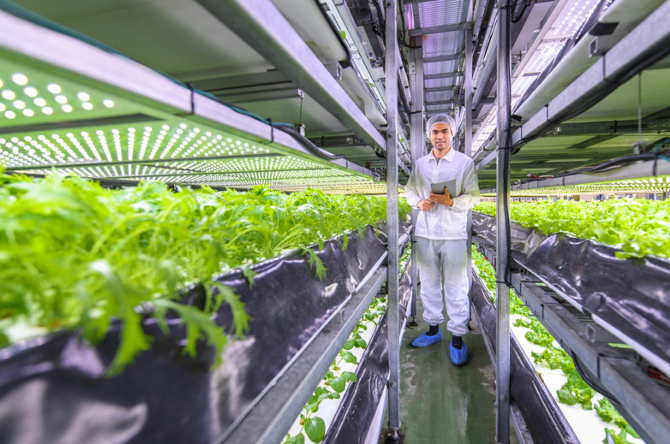 Vertical Farms Technology: Revolutionizing Agriculture's Future